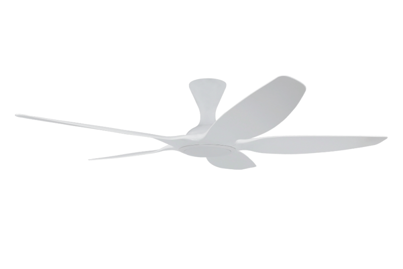 Point One Technology Cyclone RS VSPEC IV [5-Bladed] Smart Ceiling Fan ...