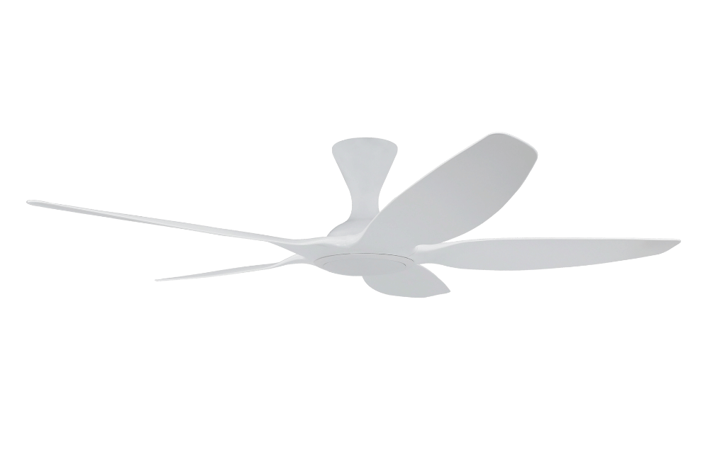 Point One Technology Cyclone RS VSPEC IV [5-Bladed] Smart Ceiling Fan ...